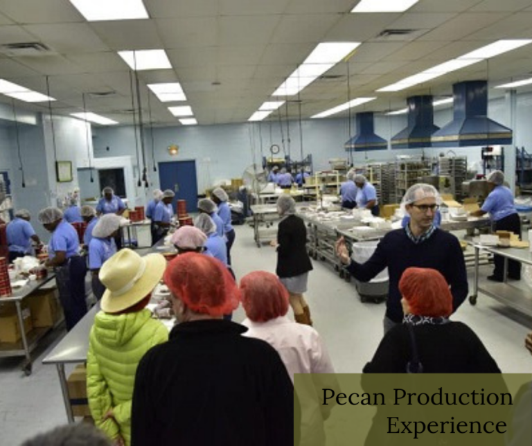 Pecan Production Experience _ ILovePecans